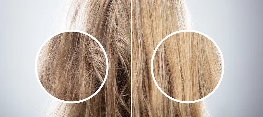 LUCIDO-L | Library | Your Ultimate Guide to Frizzy Hair – What Causes ...